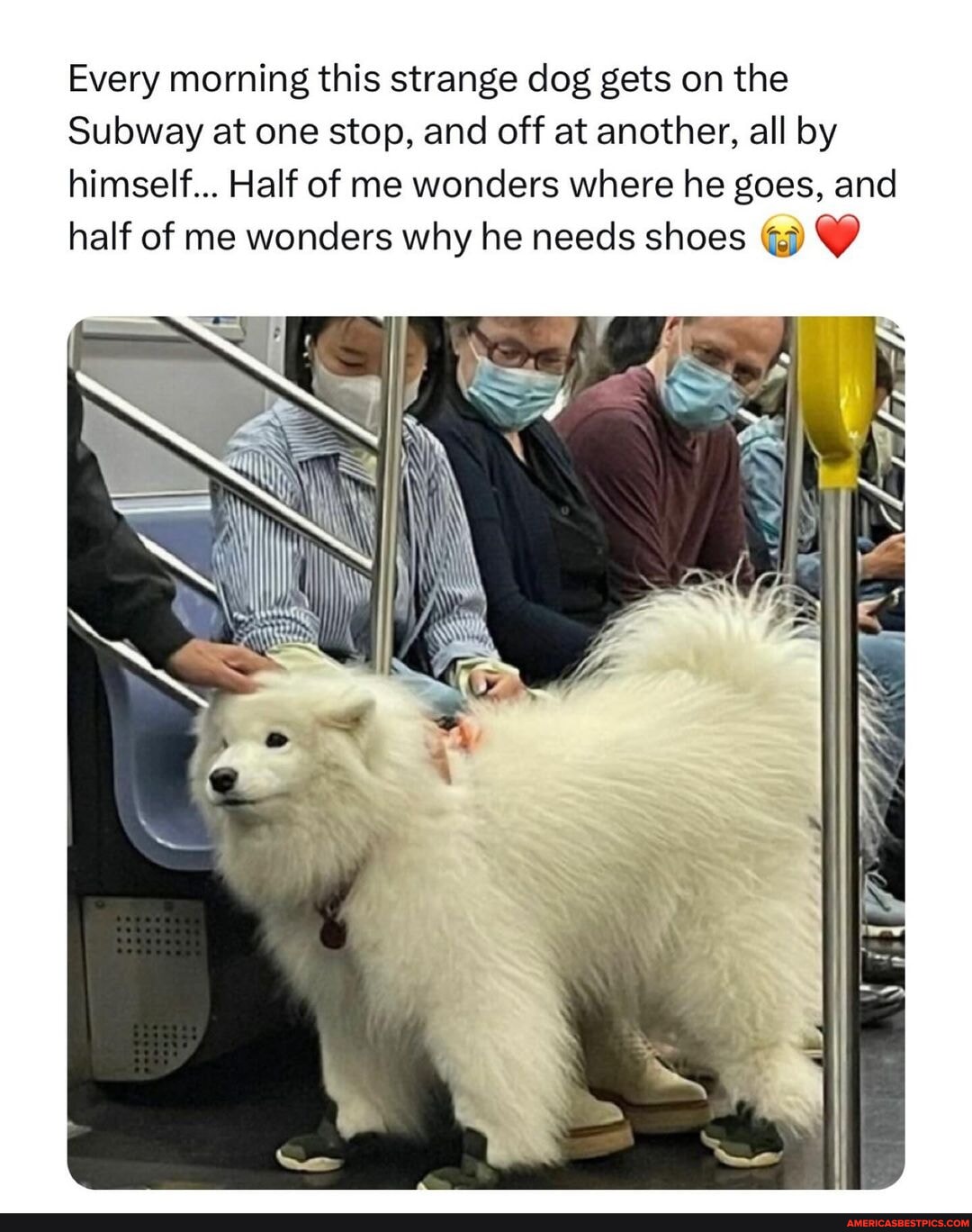 Public Transit memes memes. The best memes on America’s best pics and ...