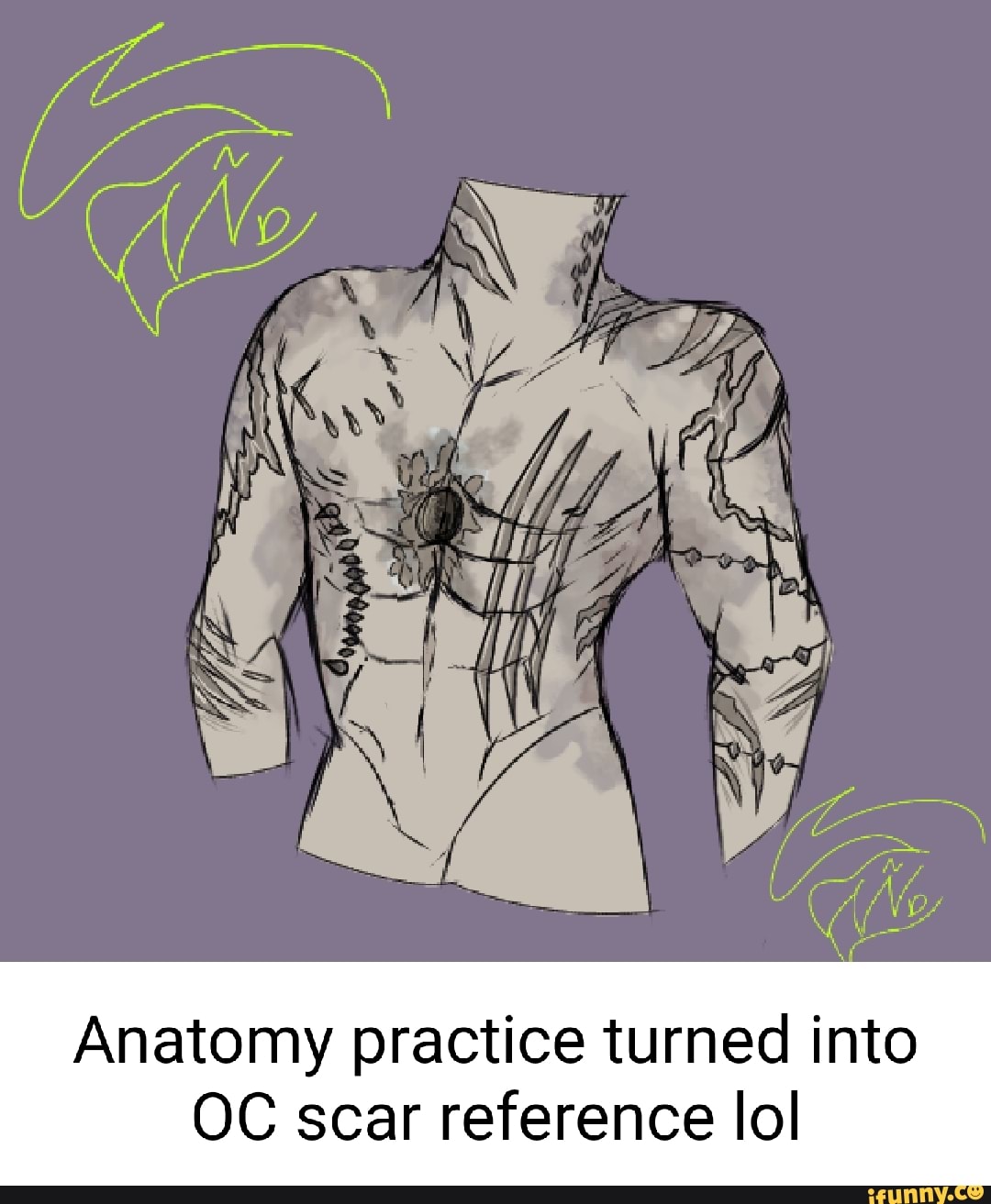 Anatomy practice turned into OC scar reference lol - iFunny