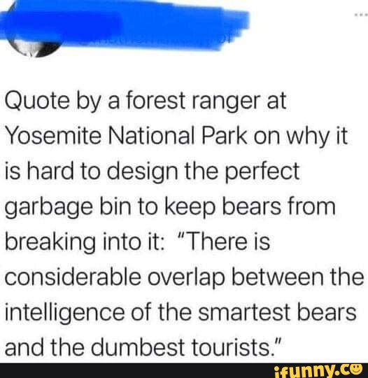 Forest memes. Best Collection of funny Forest pictures on iFunny
