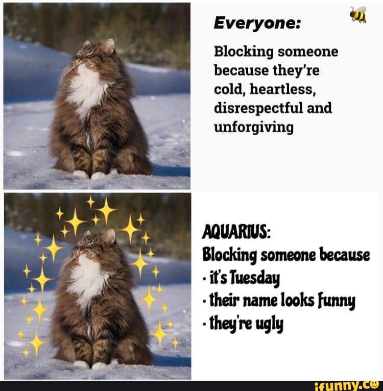 Everyone: Blocking someone because they're cold, heartless ...