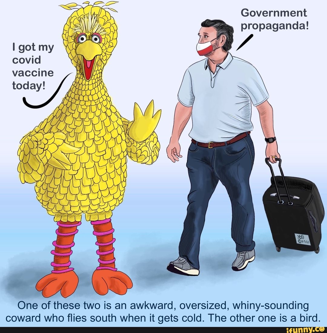 Government propaganda! I got my covid vaccine today! One of these two ...