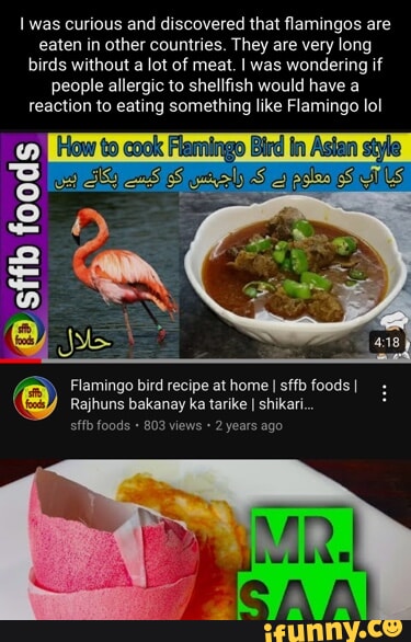 Flamingo memes. Best Collection of funny Flamingo pictures on iFunny
