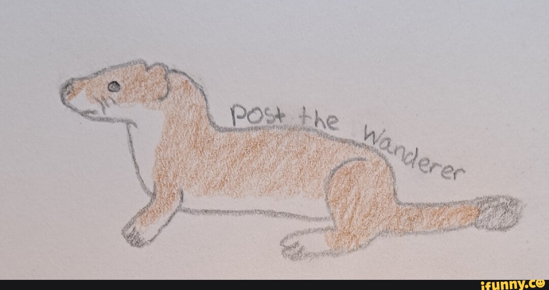 Inscryption memes. Best Collection of funny Inscryption pictures on iFunny