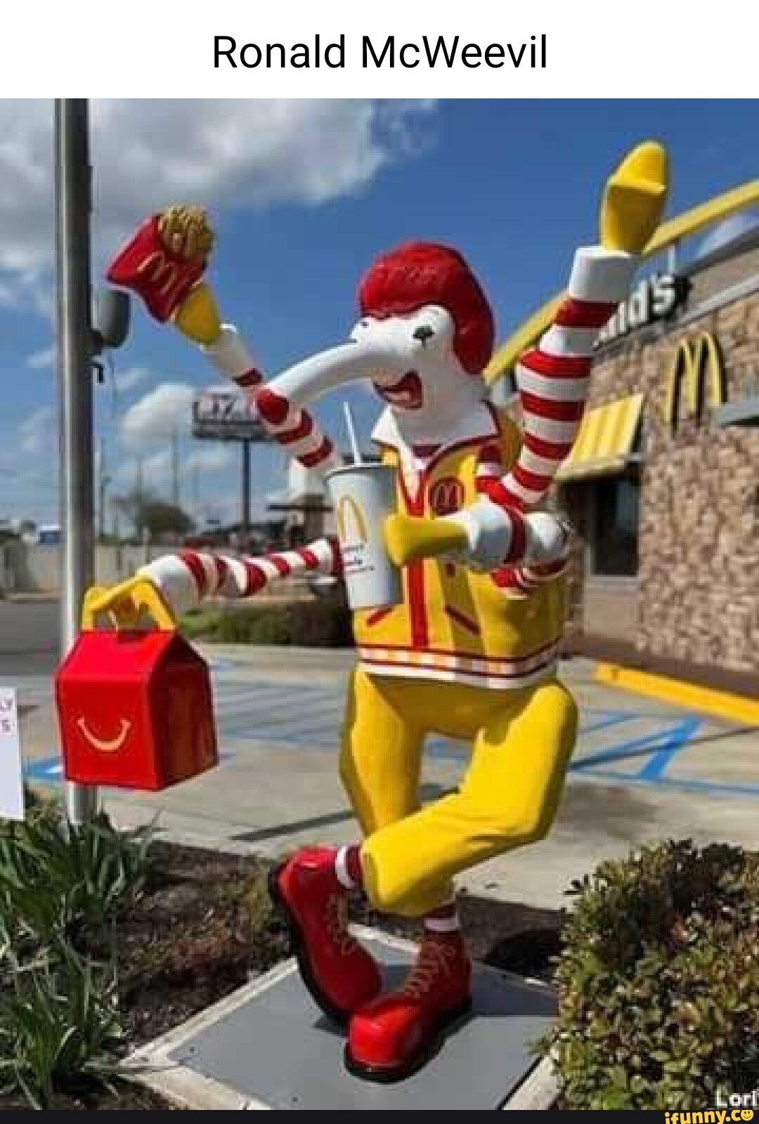 Weevil memes. Best Collection of funny Weevil pictures on iFunny