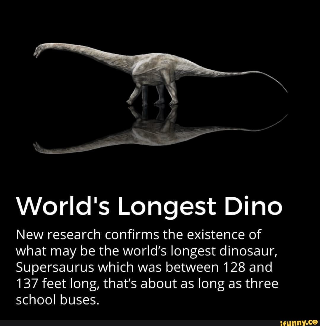 World's Longest Dino New research confirms the existence of what may be ...