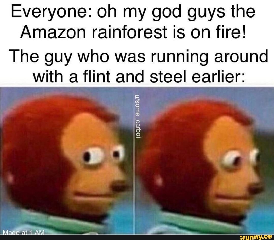 Everyone: oh my god guys the Amazon rainforest is on fire! The guy who ...