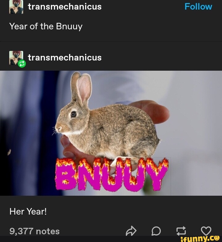 Bnuuy memes. Best Collection of funny Bnuuy pictures on iFunny