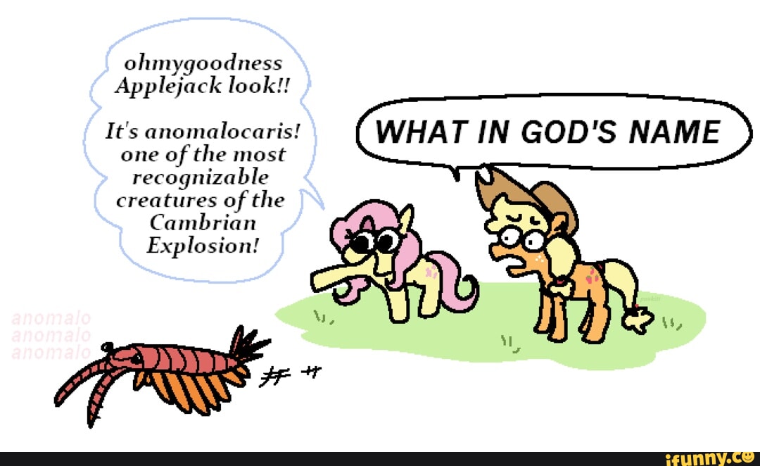 Cambrian memes. Best Collection of funny Cambrian pictures on iFunny