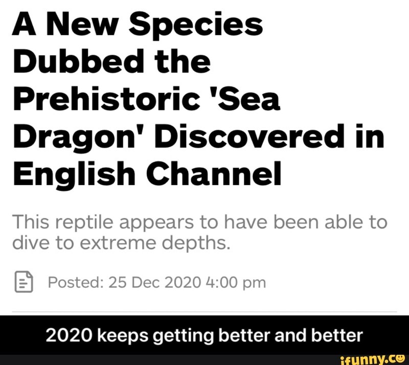 A New Species Dubbed the Prehistoric 'Sea Dragon' Discovered in English ...