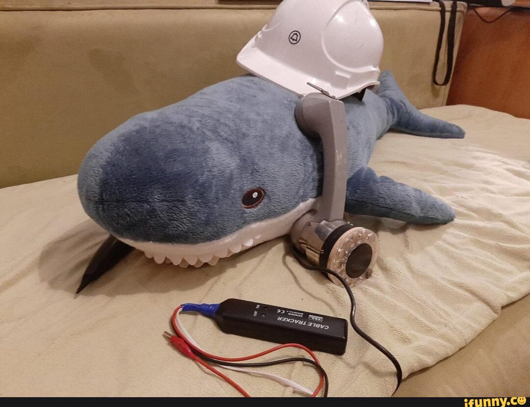 Wireshark memes. Best Collection of funny Wireshark pictures on iFunny