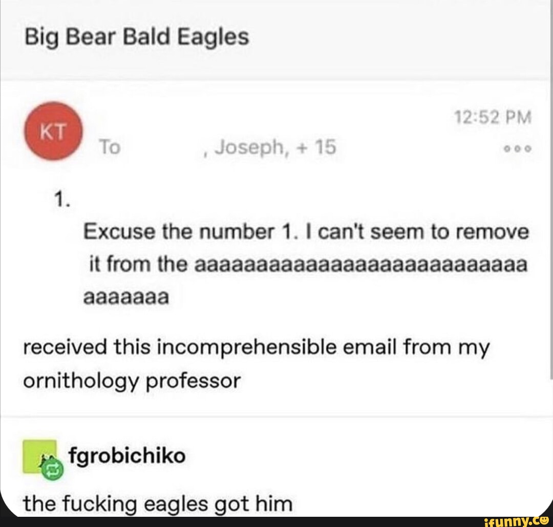 Aaaaaaaaaaaaaaaaaaaaaaaaaaa memes. Best Collection of funny ...