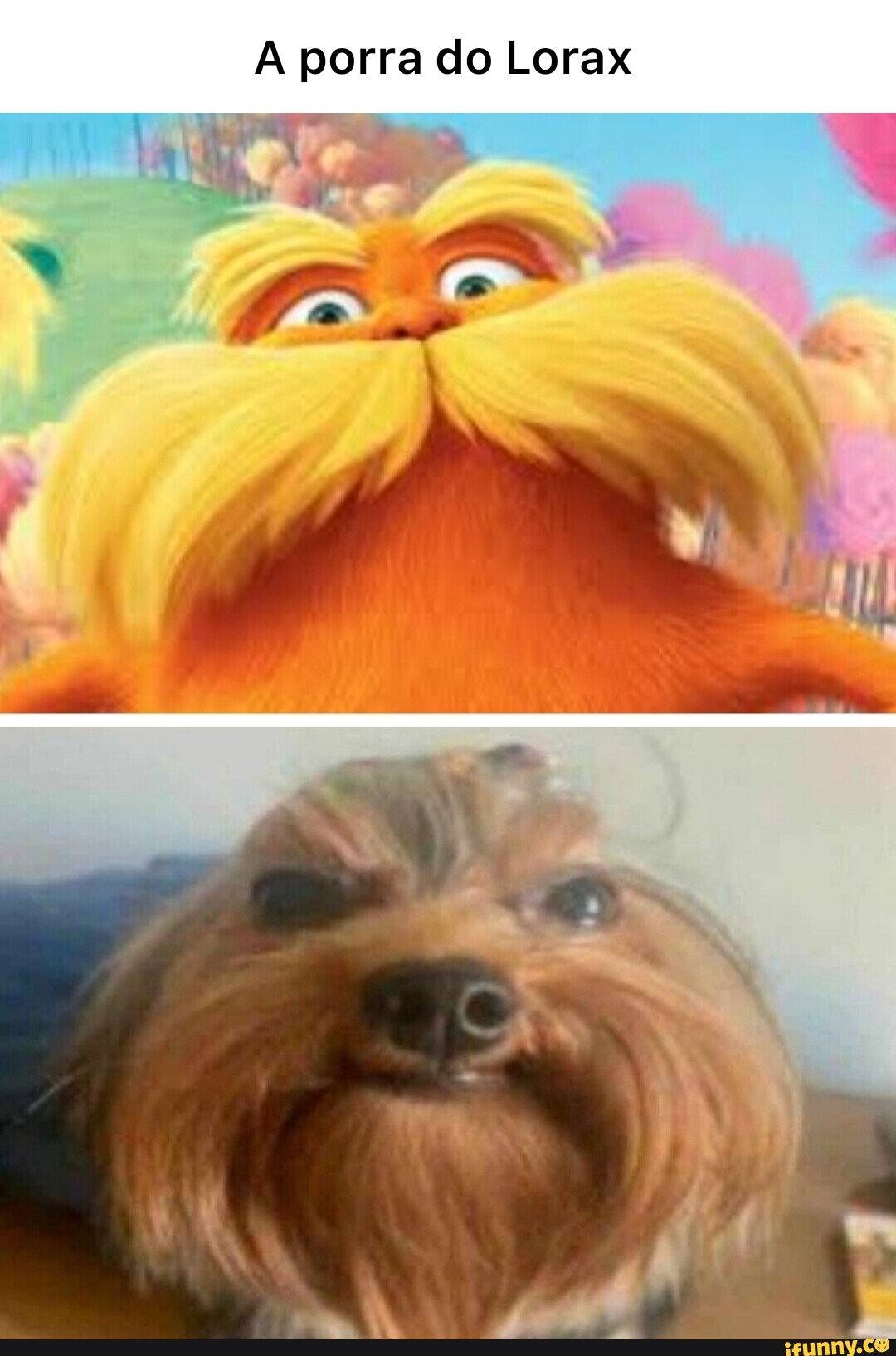 Porra Do Lorax Ifunny Brazil