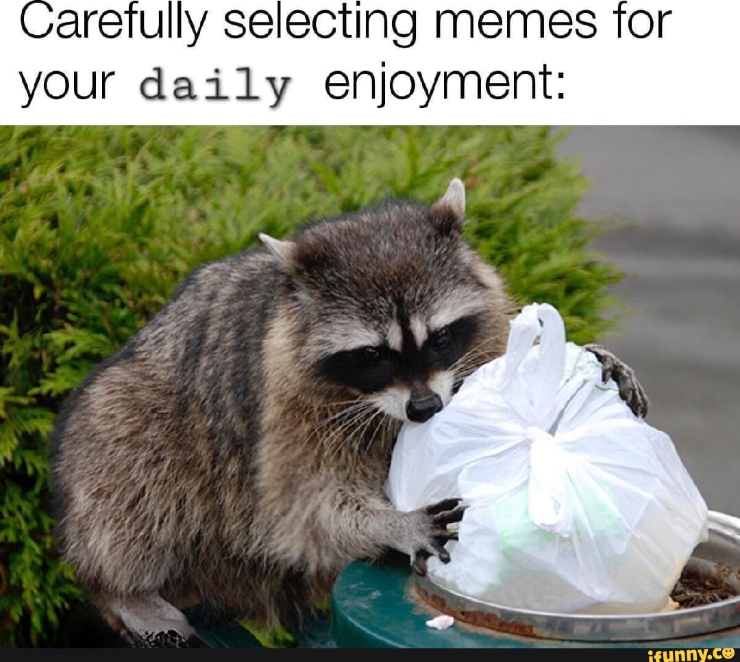 Carefully selecting memes for your daily enjoyment: - iFunny