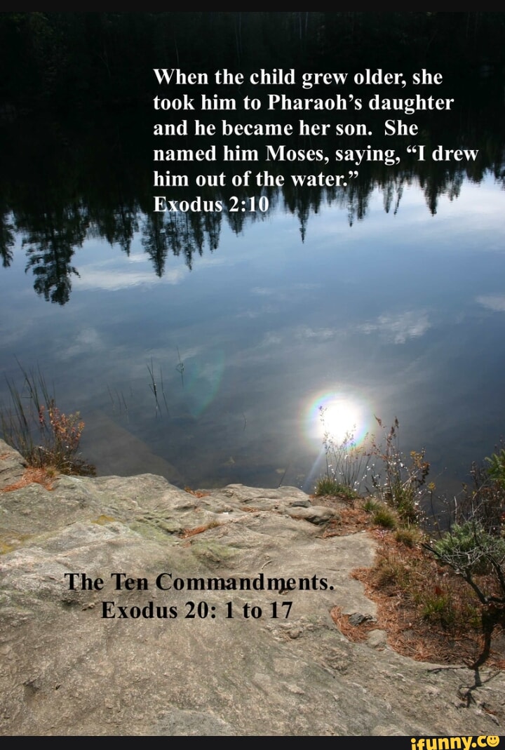 Pharaohs memes. Best Collection of funny Pharaohs pictures on iFunny