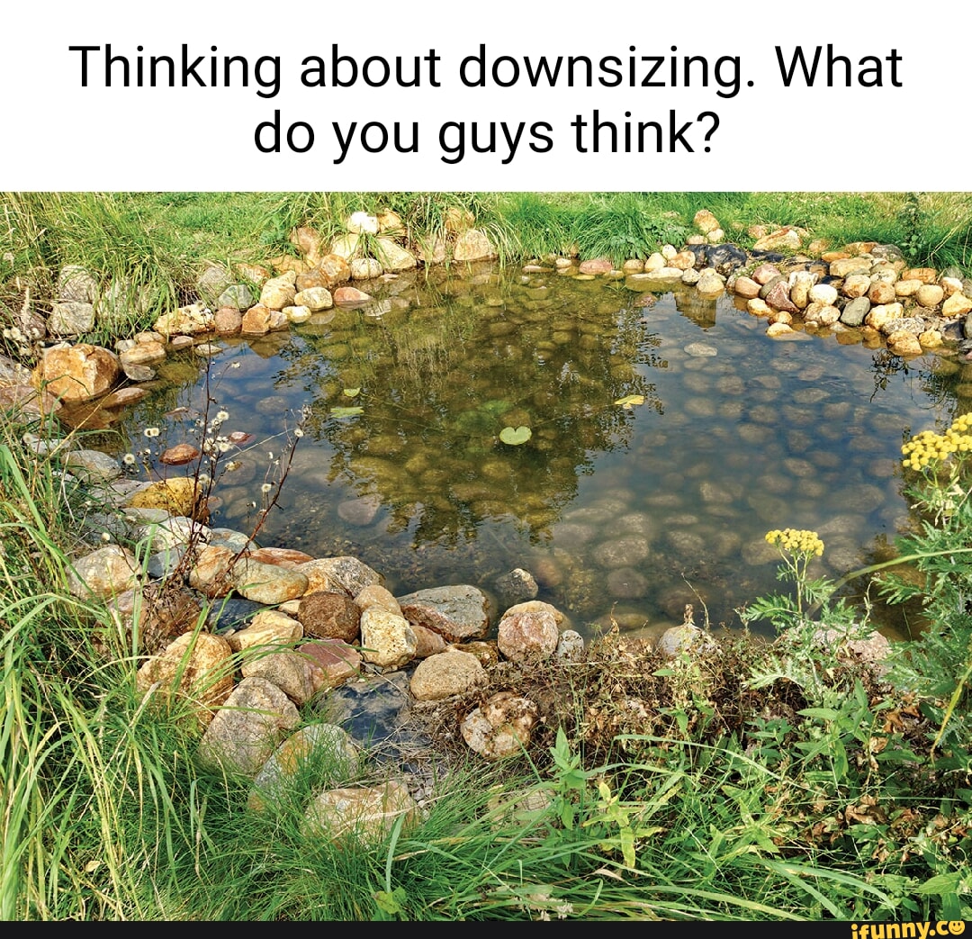 Downsizing memes. Best Collection of funny Downsizing pictures on iFunny