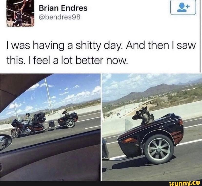 Meme dump #90 - Brian Endres I was having a shitty day. And then I saw ...