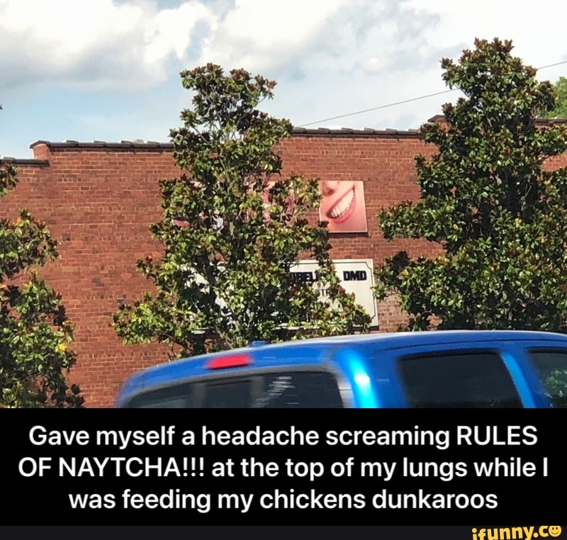 Dunkaroos memes. Best Collection of funny Dunkaroos pictures on iFunny