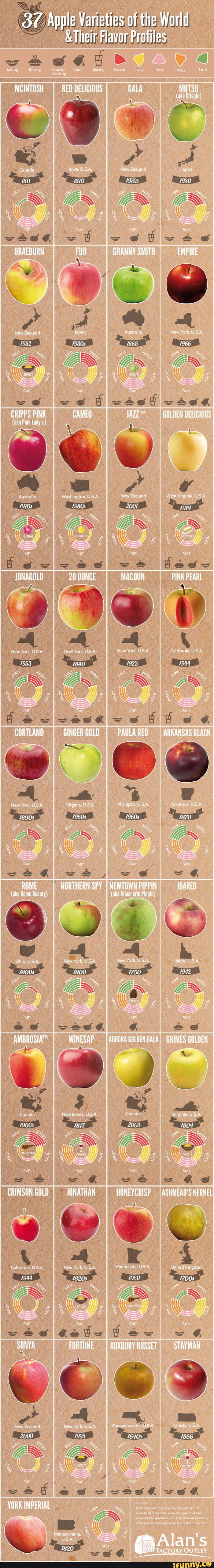 Apple Varieties val of the World & Their Flavor Profiles MCINTOSH RED ...