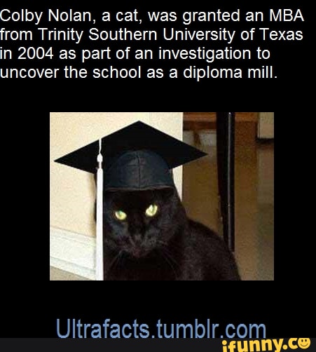 Mba memes. Best Collection of funny Mba pictures on iFunny