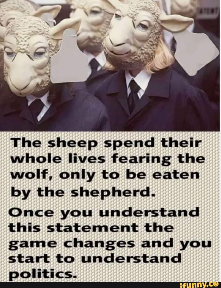 The sheep spend their whole lives fearing the wolf, only to be eaten by ...