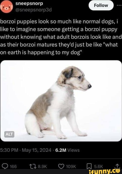 An exceptionally rare octuple rainbow appeared today in Jamaica. Such ...