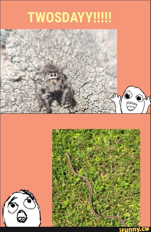 Twosday memes. Best Collection of funny Twosday pictures on iFunny