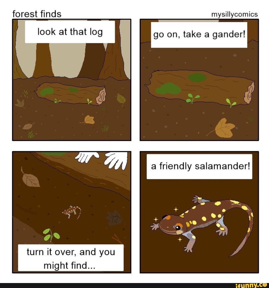 Forest finds mysillycomics look at that log I go on, take a gander! GS ...