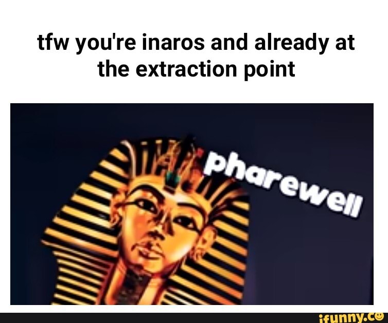 Tfw youre inaros and already at the extraction point - iFunny