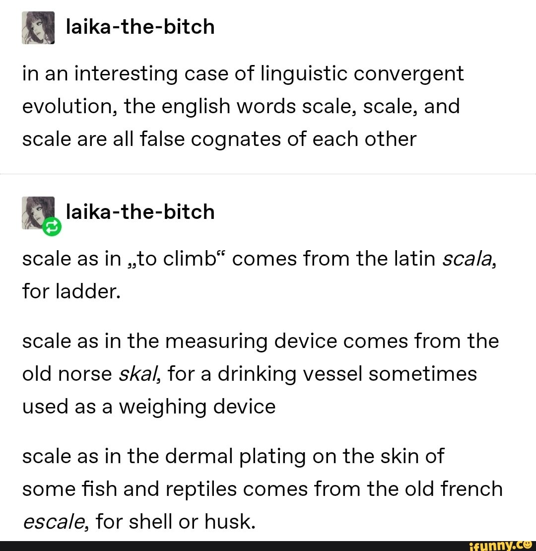 Cognates Memes Best Collection Of Funny Cognates Pictures On IFunny cognates-memes-best-collection-of-funny-cognates-pictures-on-ifunny