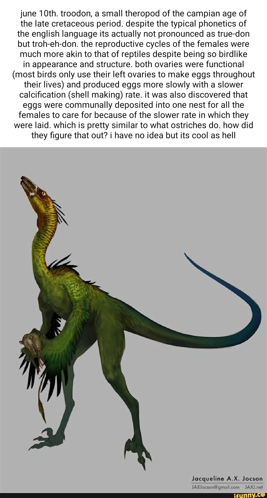 Troodon memes. Best Collection of funny Troodon pictures on iFunny