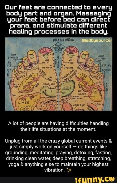 Our feet are connected to every body your part Feet and organ ...
