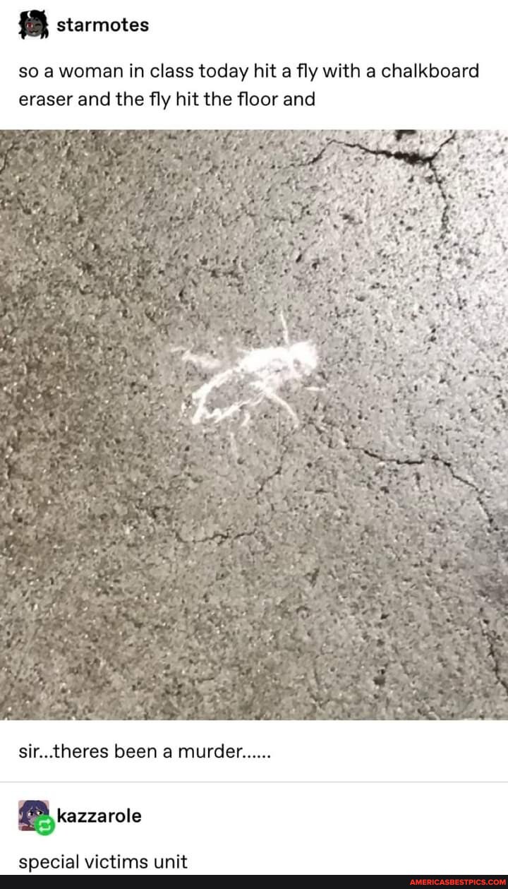 Starmotes so a woman in class today hit a fly with a chalkboard eraser ...