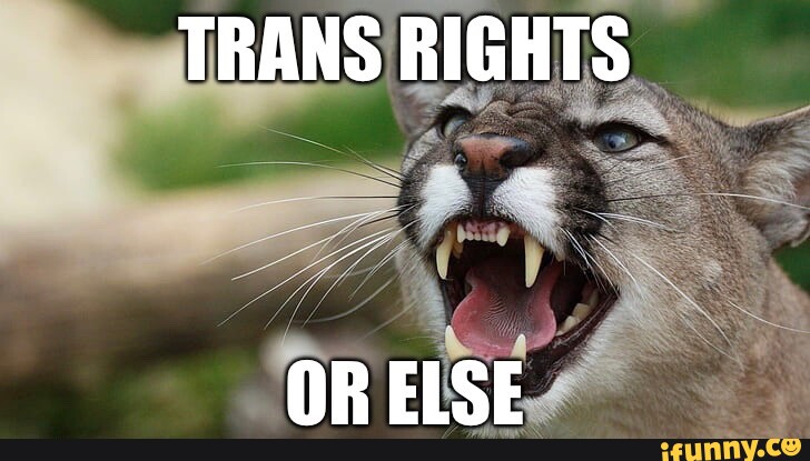 TRANS RIGHTS OR ELSE - iFunny