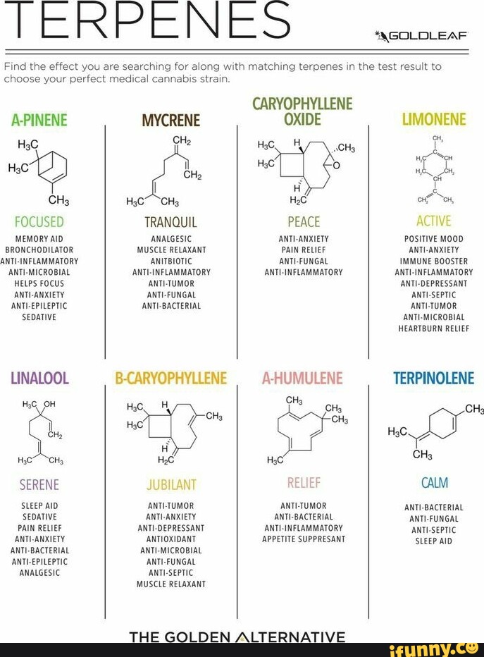 Limonene memes. Best Collection of funny Limonene pictures on iFunny