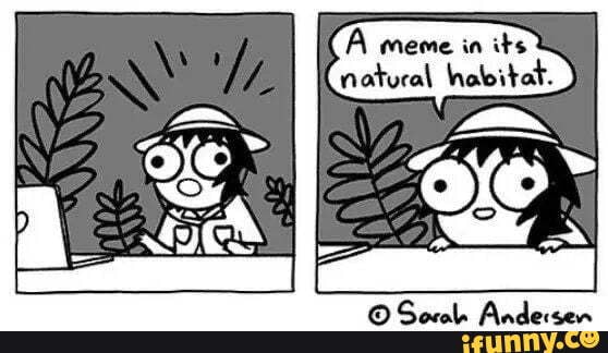 A meme in its natural habitat. - iFunny