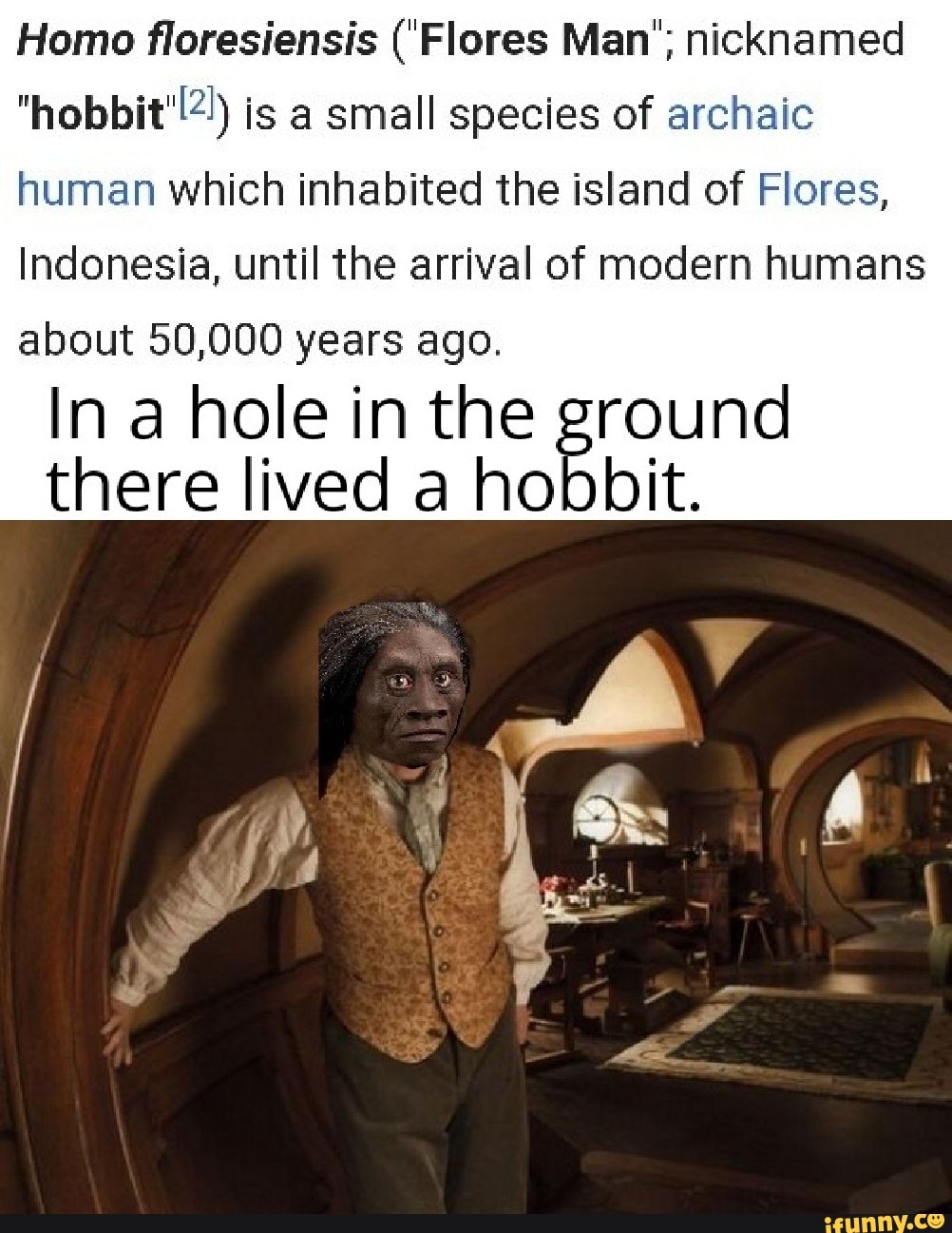 Homo floresiensis ("Flores Man"; nicknamed "hobbit'!2!) is a small ...