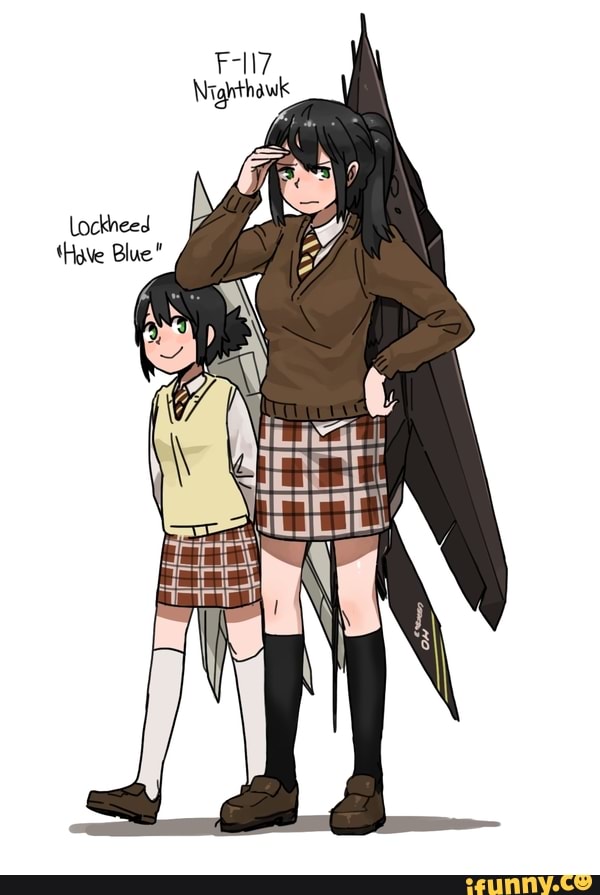 Lockheed 'Have Blue" - iFunny