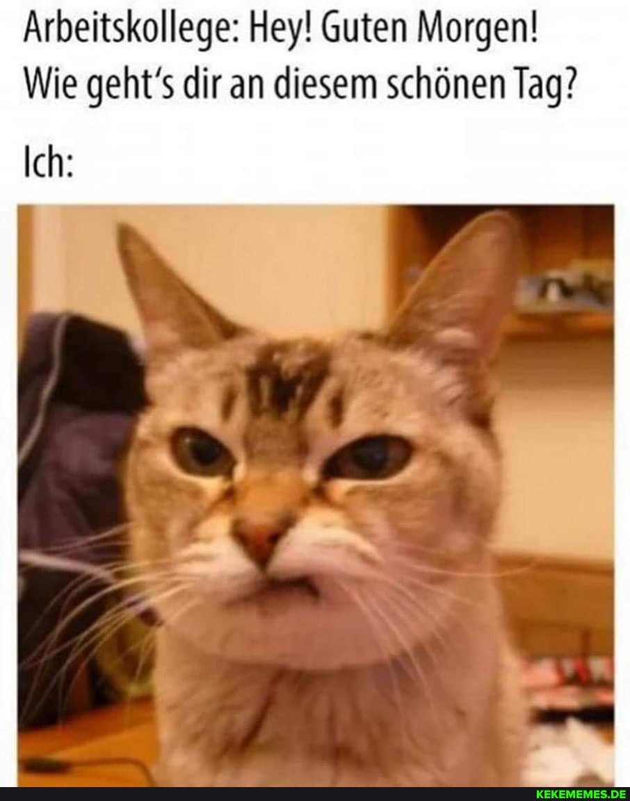 The most popular Arbeit memes on Keke