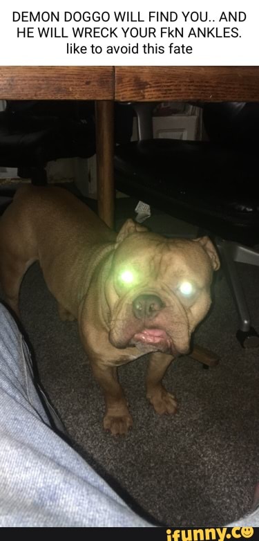 DEMON DOGGO WILL FIND YOU.. AND HE WILL WRECK YOUR FEN ANKLES. like to ...