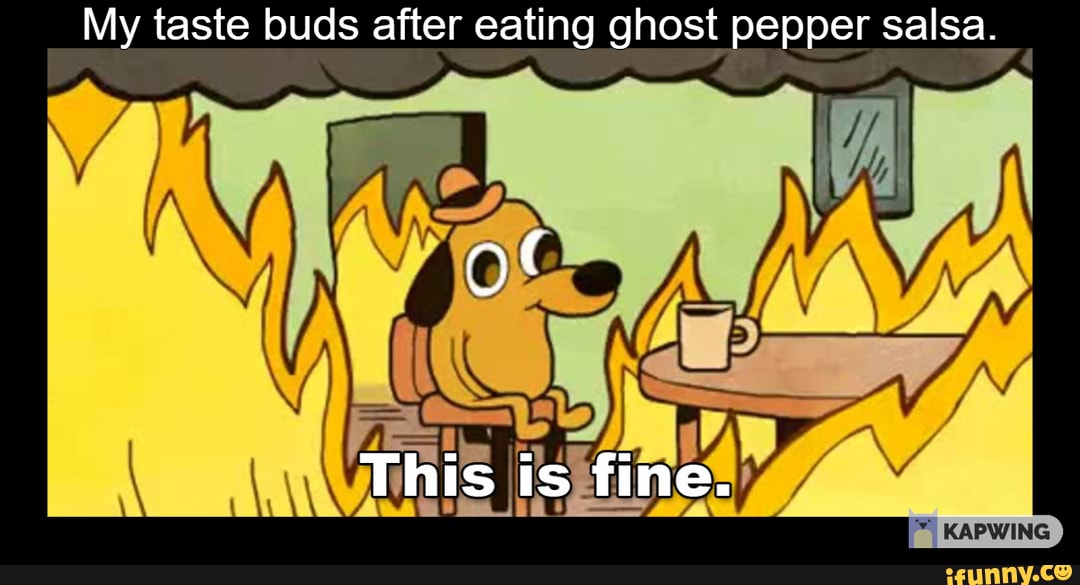My taste buds after eating ghost pepper salsa. of This is fine. - iFunny