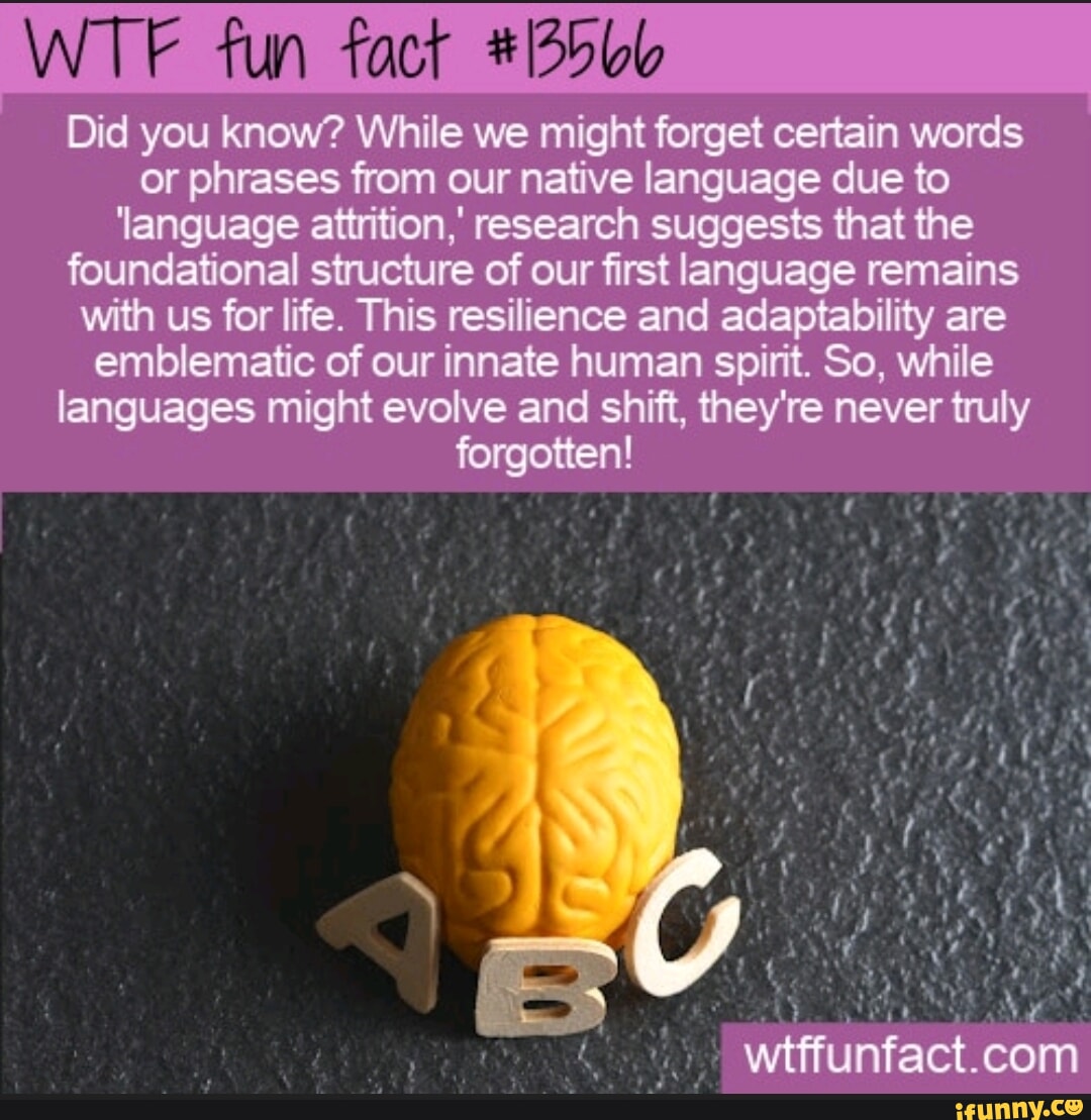 WTF fun fact Did you know? While we might forget certain words or ...