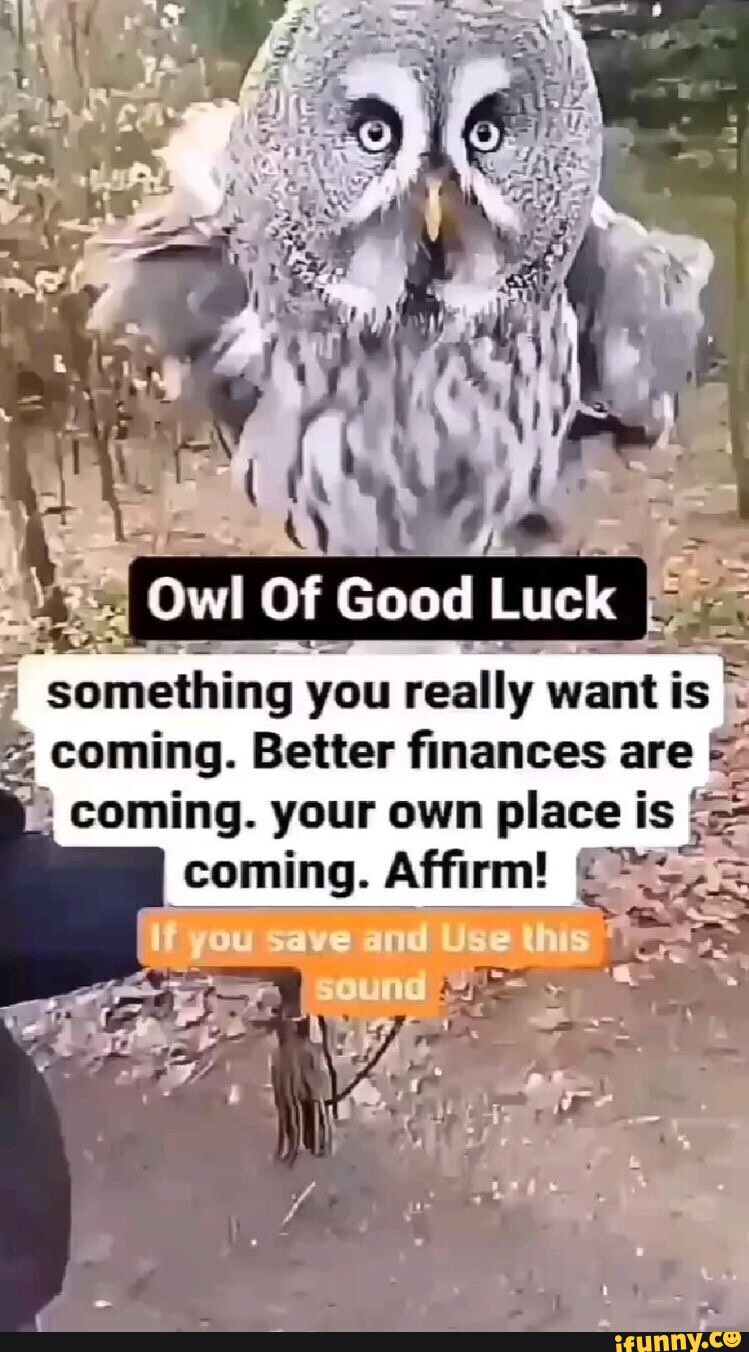 Absolute nightmare blunt rotation I - iFunny