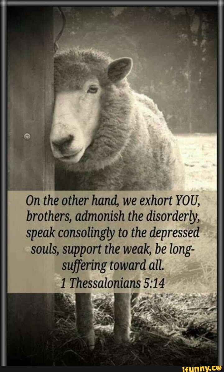 Admonish memes. Best Collection of funny Admonish pictures on iFunny