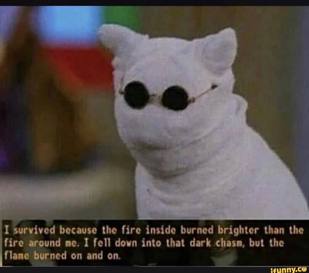 I survived because the fire inside burned brighter than the fire around ...