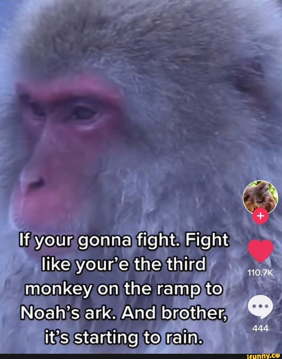 If your gonna fight. Fight like youre the third monkey on the ramp to ...