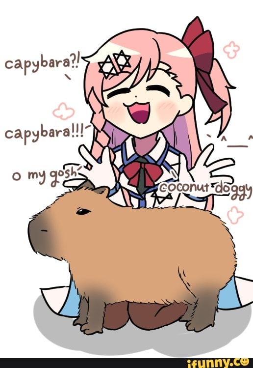 Negev memes. Best Collection of funny Negev pictures on iFunny