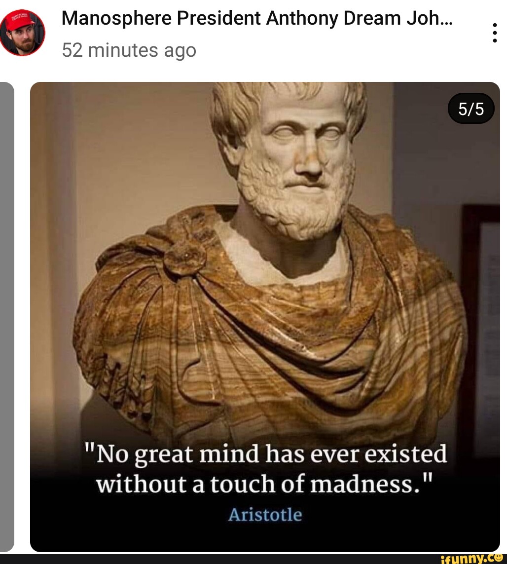 Manosphere memes. Best Collection of funny Manosphere pictures on iFunny