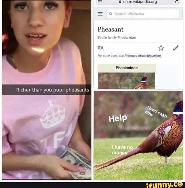 [first day as a pilot] control tower: what are your coordinates me: I’m ...