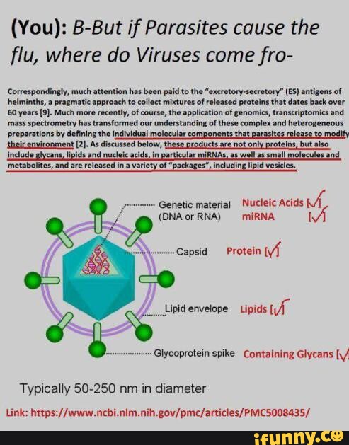 (You): B-But if Parasites cause the flu, where do Viruses come fro ...