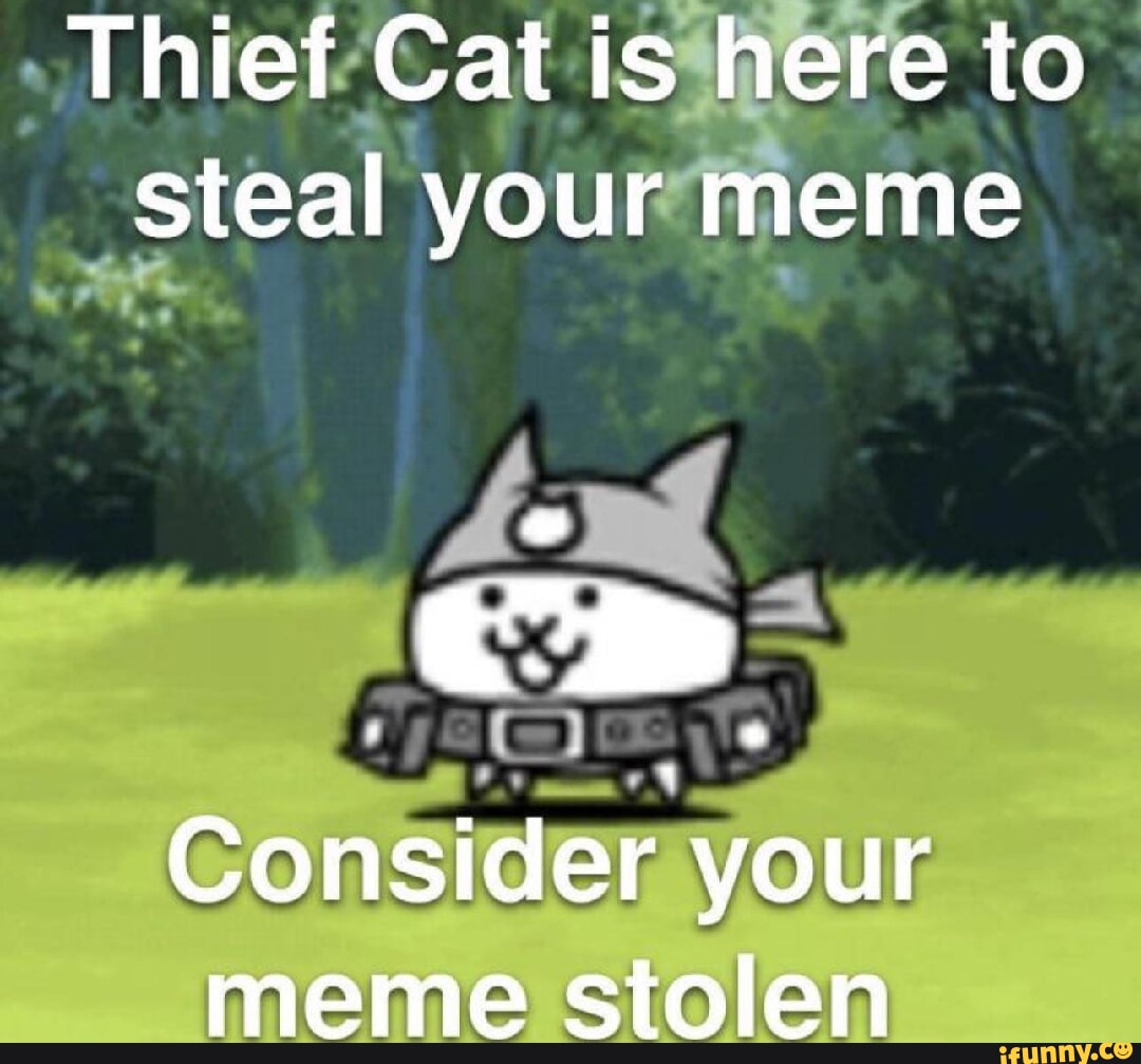Thief Cat is here to steal your meme Consider your meme stolen - iFunny